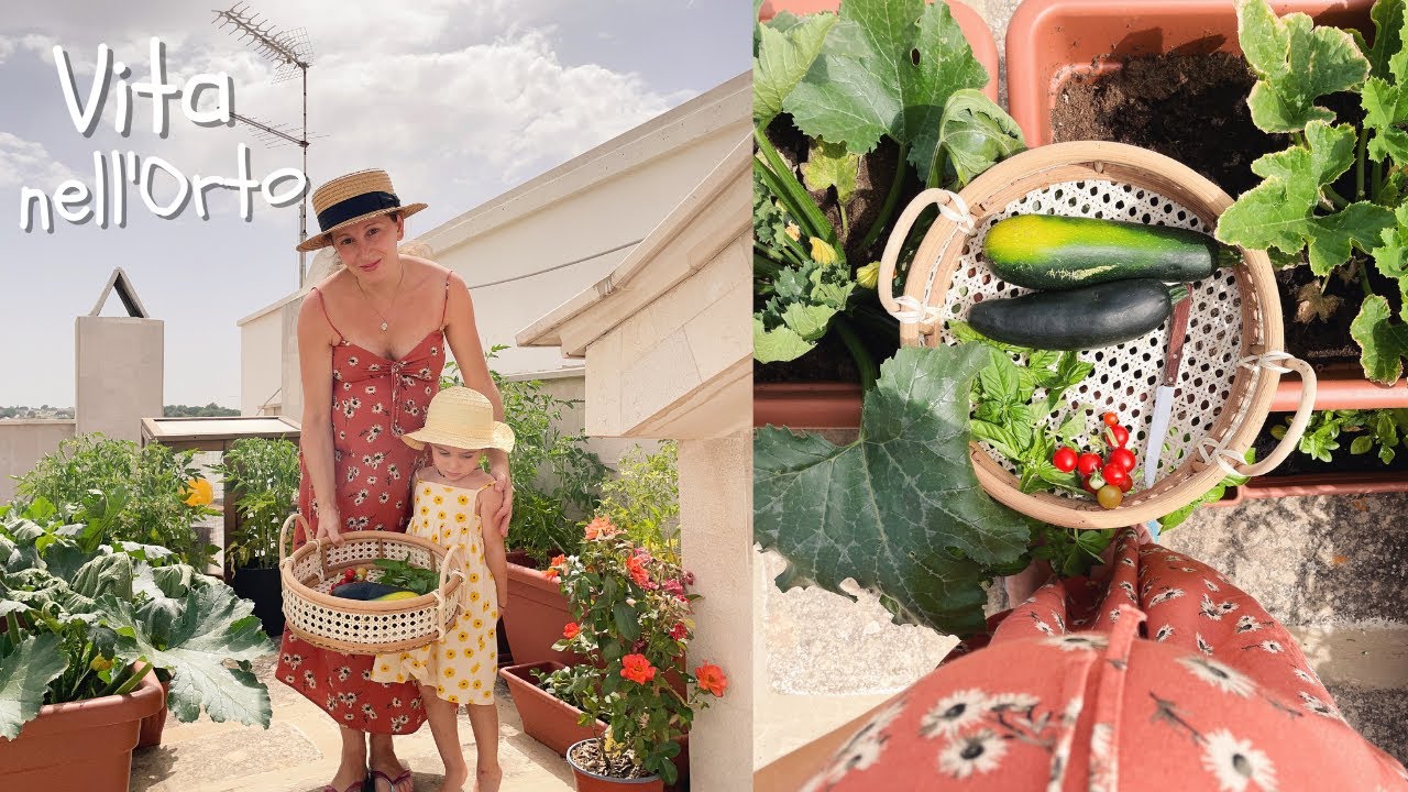 Ho coltivato un piccolo orto in terrazza - YouTube