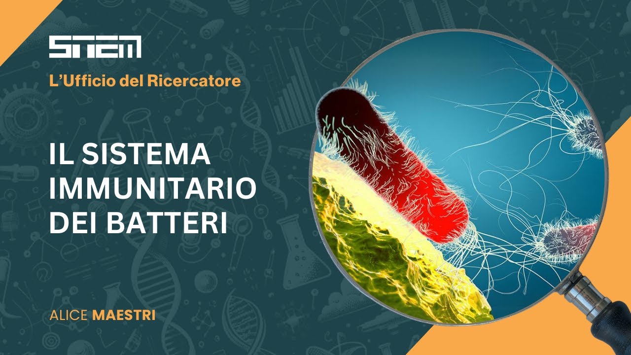 Il sistema immunitario dei batteri (Alice Maestri) - YouTube