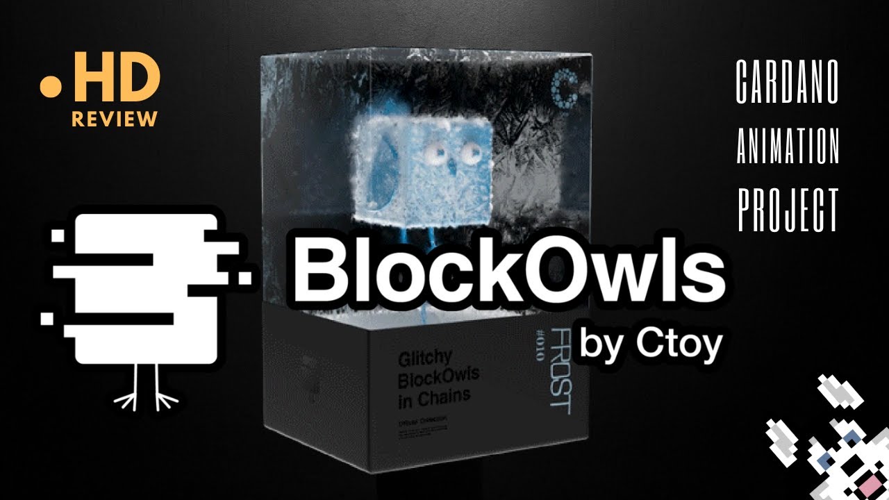 BlockOwls THE MOST DETAILED #Cardano Animation NFT Project EVER - YouTube
