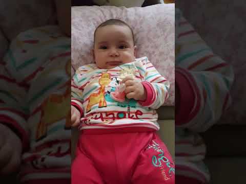26 kasım 2018