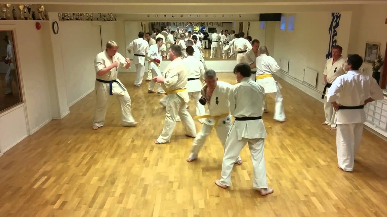 Uppsala Kyokushin Karate Gradering - Match 6 2015-06-02 - YouTube