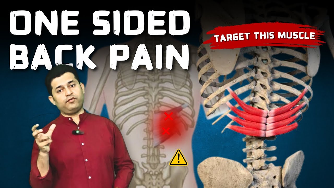 "Unlock One-Sided Low Back Pain Relief: Serratus Posterior Inferior ...
