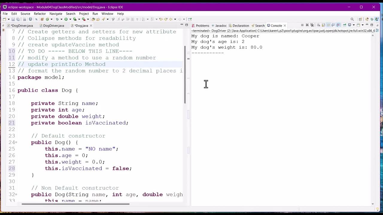 CIS171 Mod04 ModifiedDogClassWithBoolean - YouTube