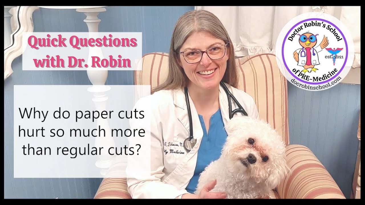 Why are PAPER cuts so painful? 📄 - YouTube
