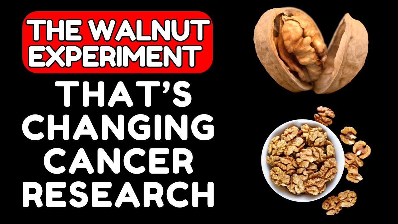 The Walnut Experiment That’s Changing Cancer Research - YouTube