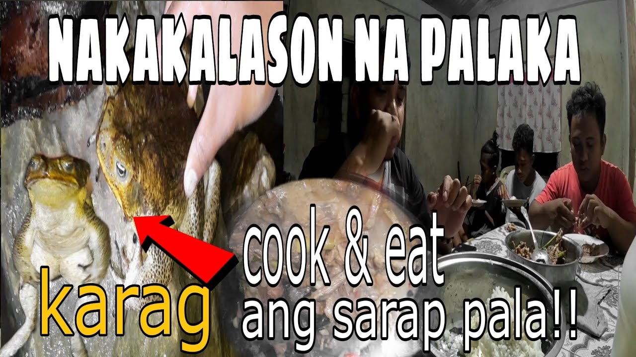 POISONOUS FROG kinain namin ang sarap pala!!!/ cane toad karag - YouTube