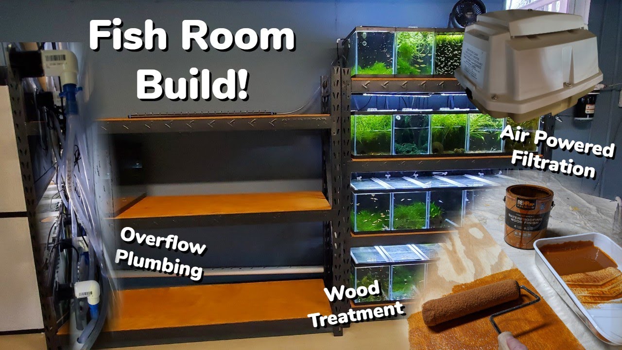 Fish Room Build! Auto Water Change Overflow Plumbing, Wood Preparations ...