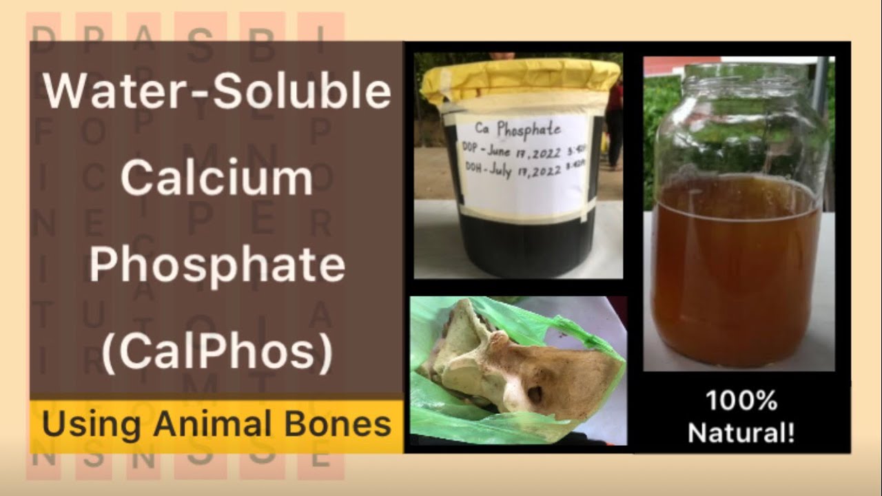Water-Soluble Calcium Phosphate (CalPhos) Using Animal Bones | Organic ...