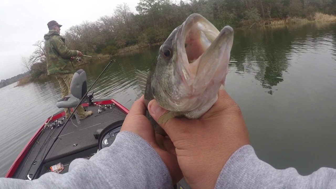 Cold Bass on Lake Bastrop | Texas Rig & Drop Shot - YouTube