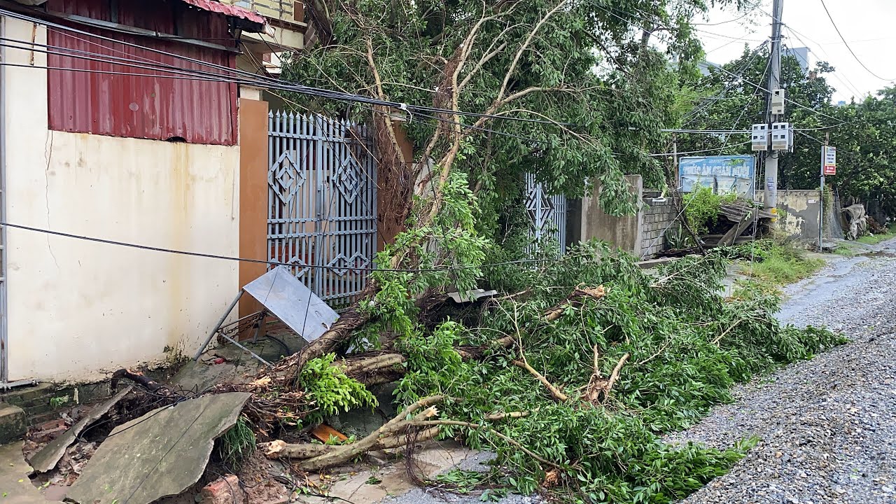 Super Storm Yagi destroys schools, hospitals, homes, crops in rural ...