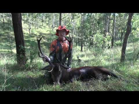Andrew Peatey and a great 5x5 red stag - YouTube