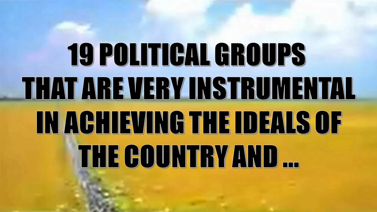19 POLITICAL GROUPS WHO PLAY A ROLE IN ACHIEVING THE IDEALS OF THE ...