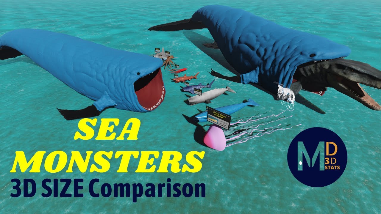 Sea Monsters Size Comparison || Animal SIZE Comparison - YouTube