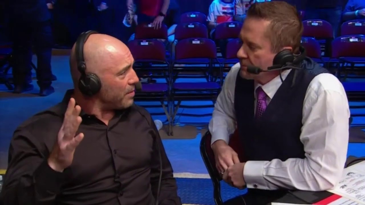 Joe Rogan & Mike Goldberg Opinion About Stipe Miocic vs Alistair ...