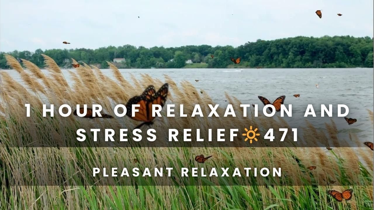 1 Hour of Relaxation and Stress Relief ★471 - YouTube