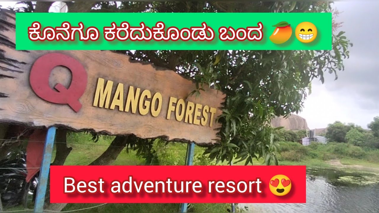 ಬೆಂಗಳೂರು ಸಮೀಪದ ಬೆಸ್ಟ್ Resort|Q Mango 🥭 forest Resort | short vlog - YouTube