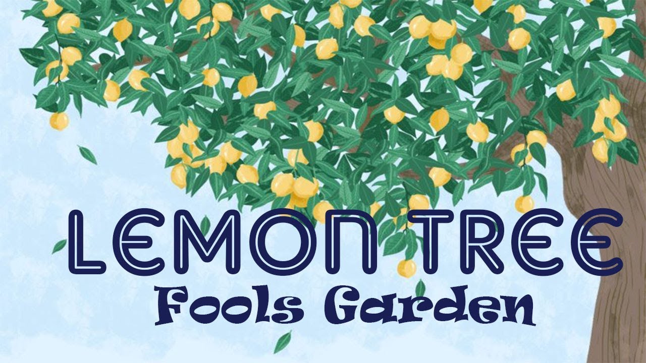 Lemon Tree Lyric Español e Ingles - YouTube