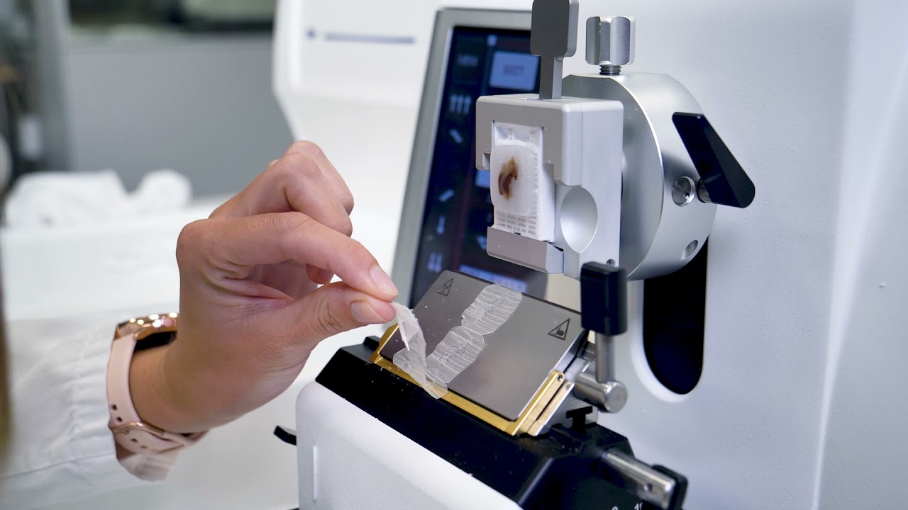 M-240_Microtome sectioning_Myr - YouTube