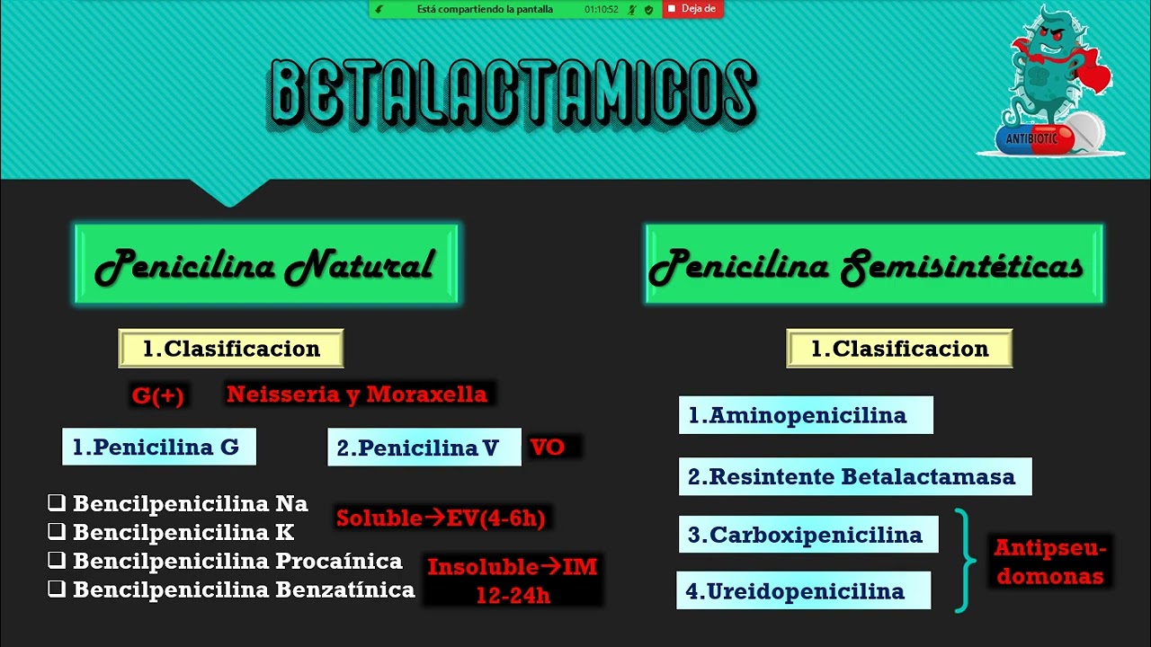6.3.Clasificacion, Accion, espectro Antimicrobianos - YouTube