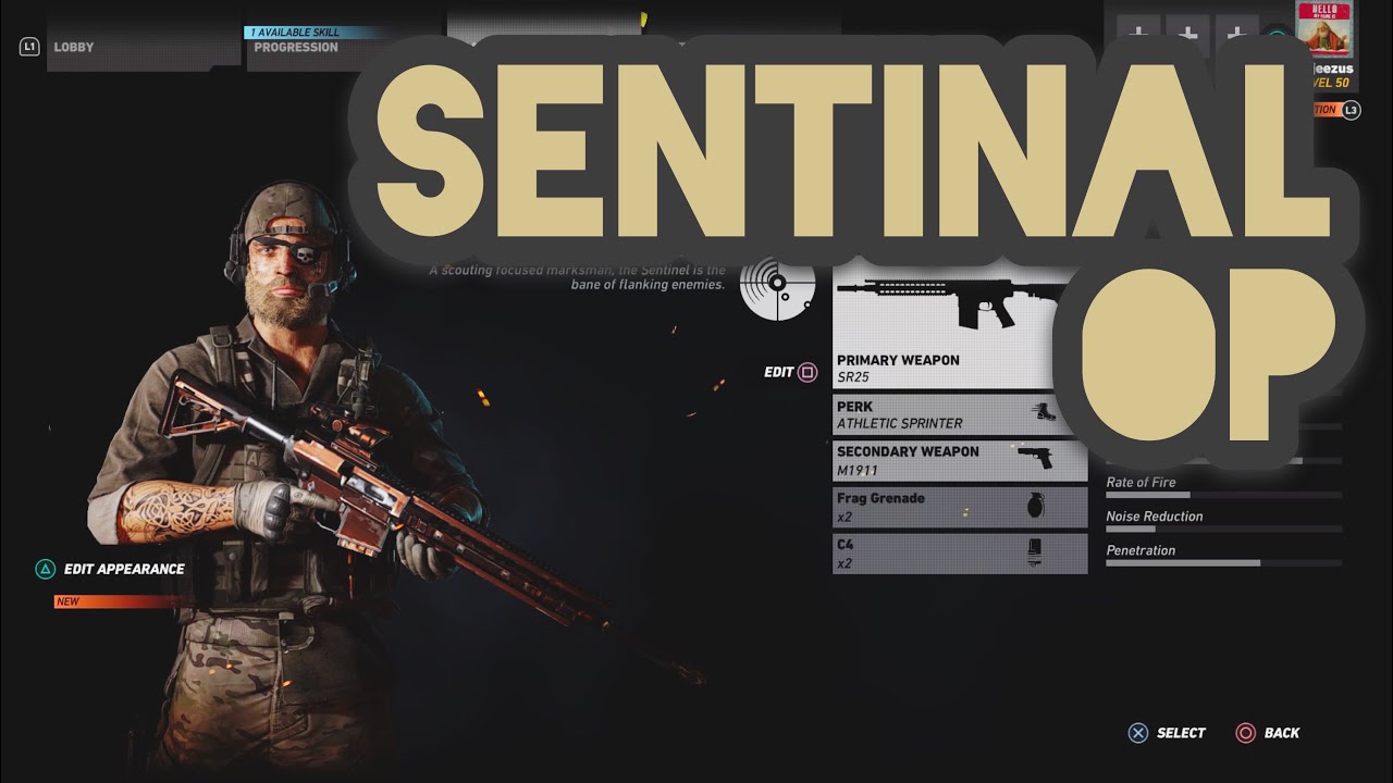 Sentinel OP - Ghost Recon Wildlands - YouTube