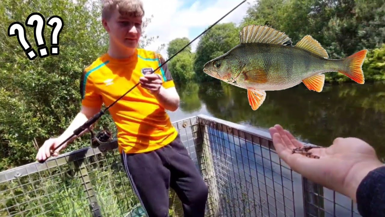 Perch fishing with a school friend + my pb rudd - YouTube