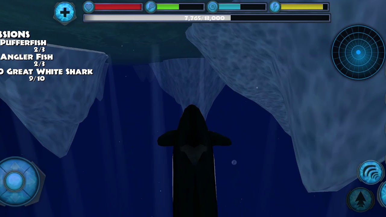 i thought that i had all the orcas in OrcaSim or Orca Simulator - YouTube