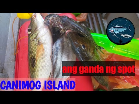 CANIMOG ISLAND mercedes camarines norte /unlock fish / unlimited strike ...