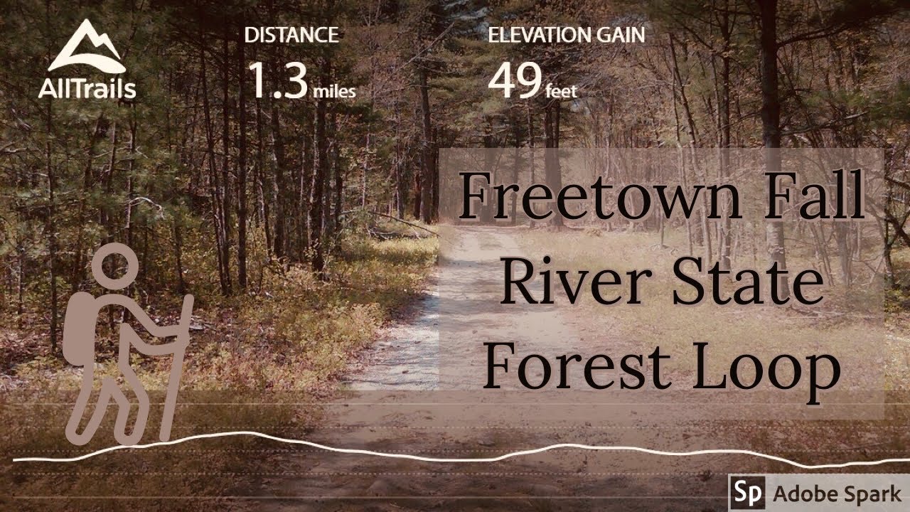 Freetown Fall River State Forest Loop - YouTube