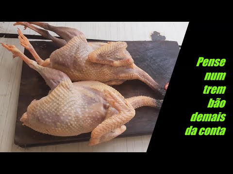 Fiz abate de 2 galinha D'angola machos.  Pense uns bichos briguentos