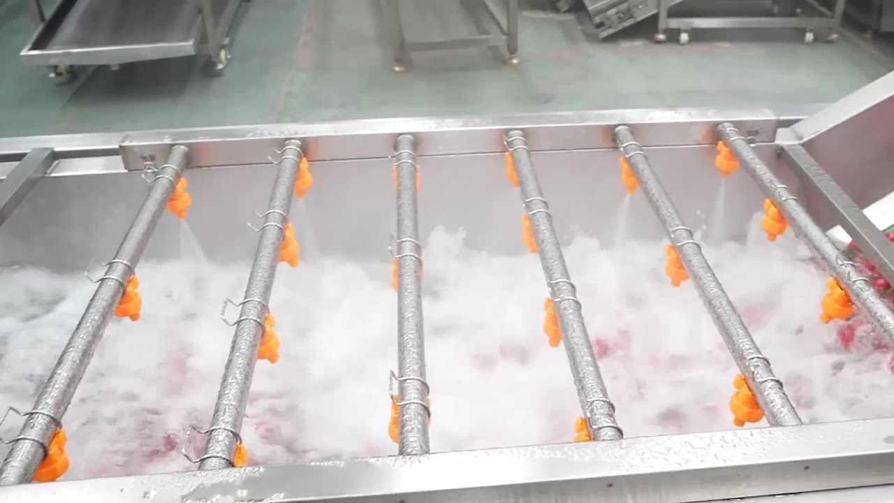 Bubble Fruit and Vegetable Washer | Industrial Tomato Cleaning Machine ...