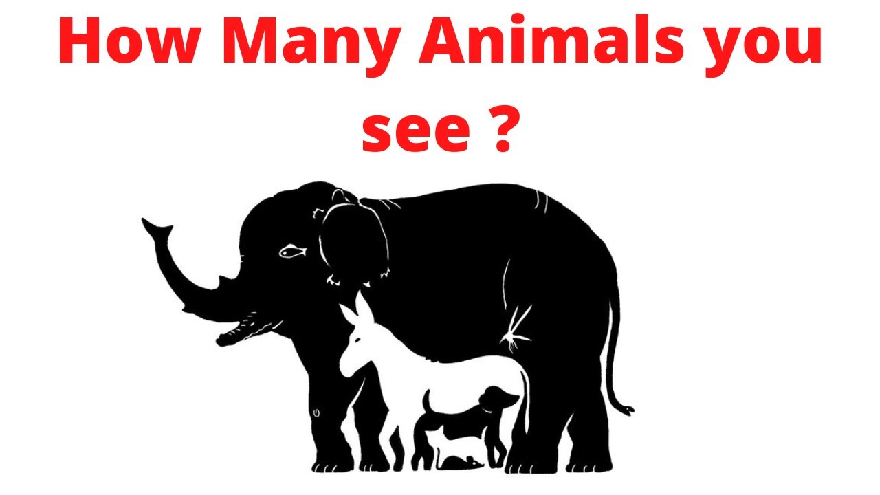 Top 5 Riddles - Psychology Of Human Behavior | Human Psychology ...