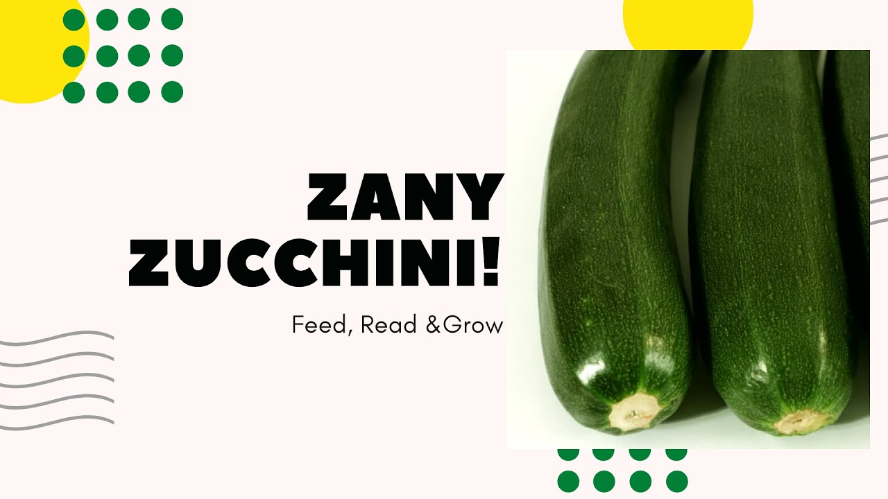 Zucchini - YouTube