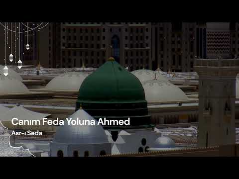 Canım Feda Yoluna Ahmed | Asr-ı Seda | Yeni İlahiler