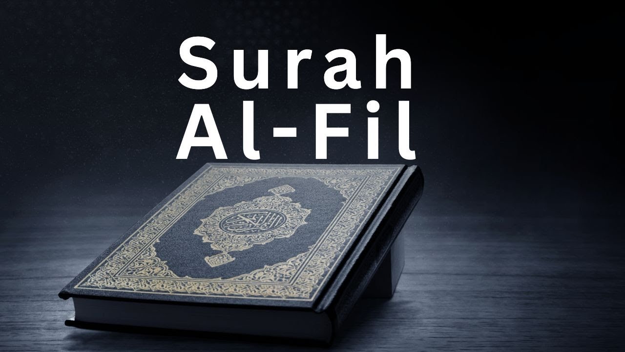 (105) Surah Al Fil (complete) Tafheem ul Quran English text by Maulana ...