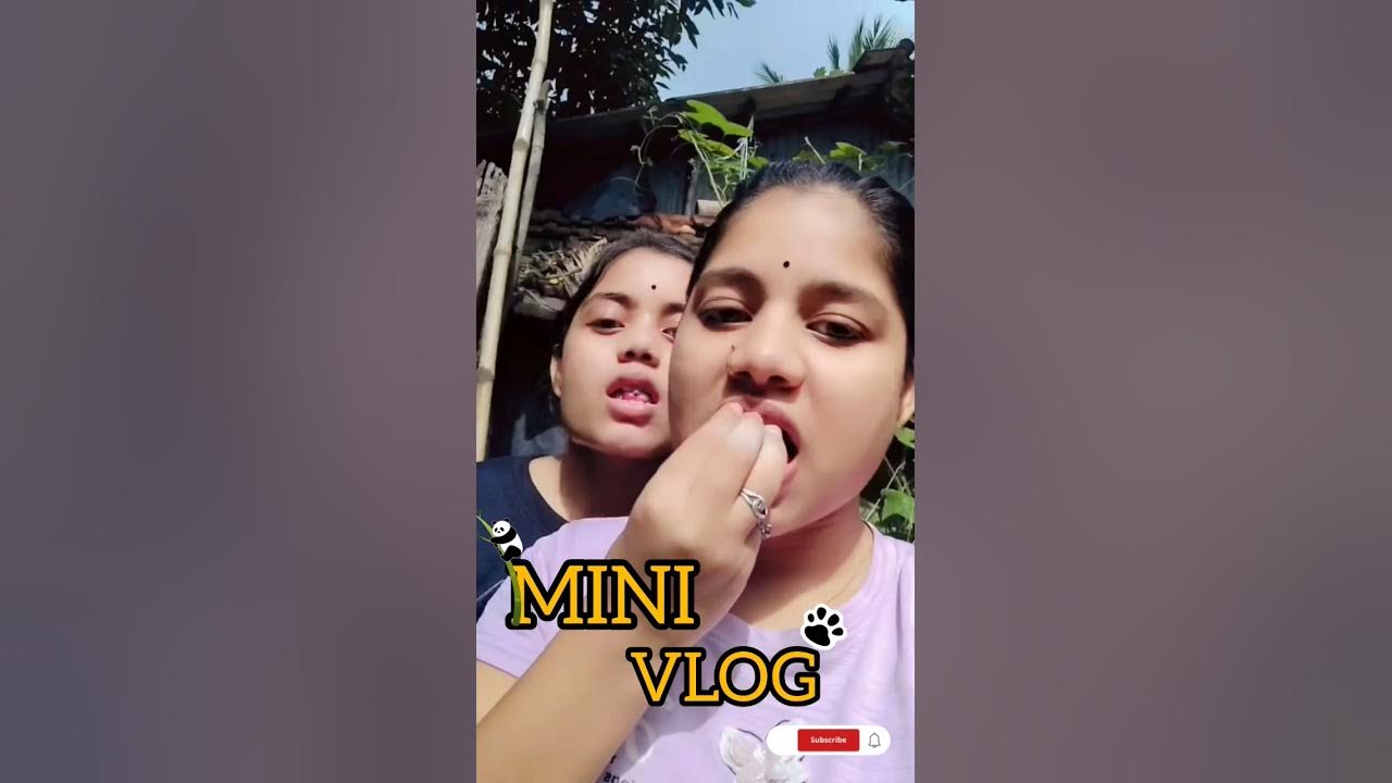 MINI VLOG 🫐😍😋 @TithitusarSeries @tomadermehu @PRITHIMONDAL-i8b #minivlog #bengalivlog - YouTube