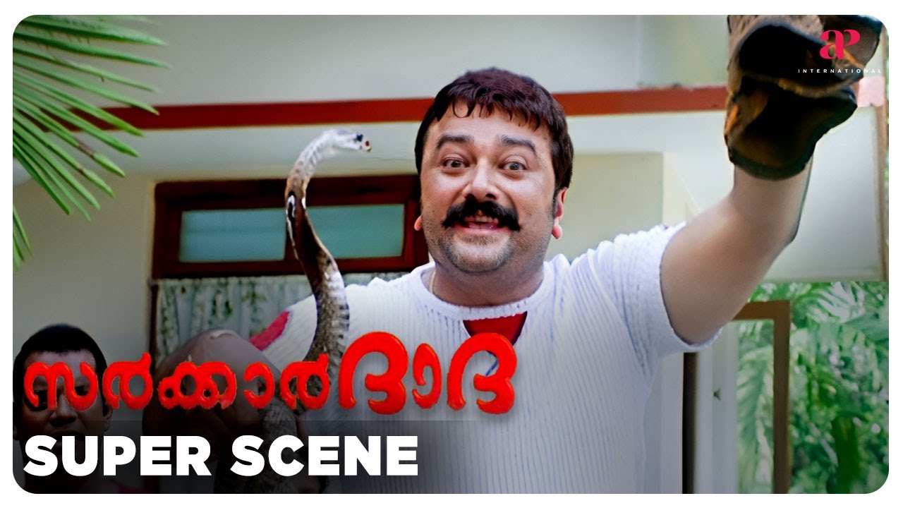 Sarkar Dada Malayalam Movie | Jayaram | Navya Nair | Salim | Jayaram ...