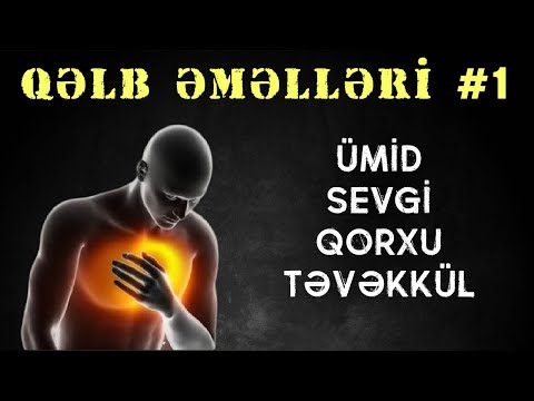 Əsas qəlb əməlləridir. Allaha təvəkkül, qorxu, sevgi və ümid... | tövbəzamanı