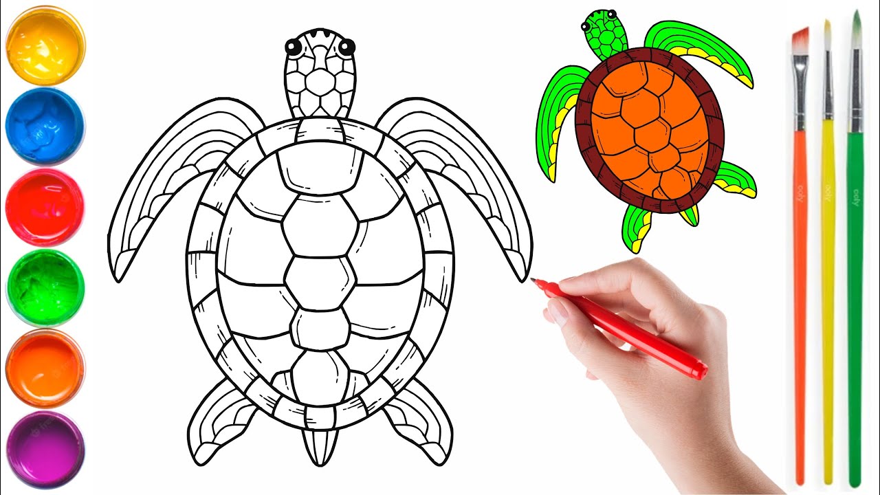 HOW TO 🎨DRAW A 🐢TURTLE | EASY STEP BY STEP | MINNIE FINGERS ART - YouTube