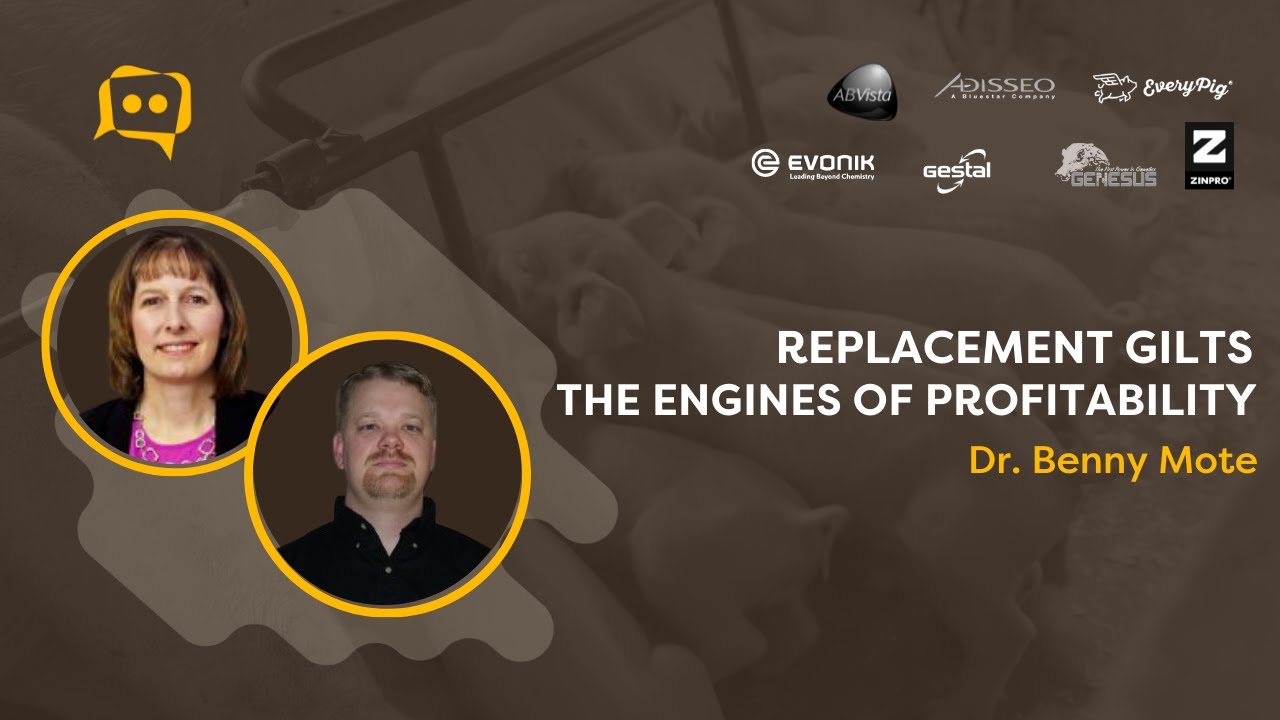 Dr. Benny Mote: Replacement Gilts | Ep. 130 - YouTube