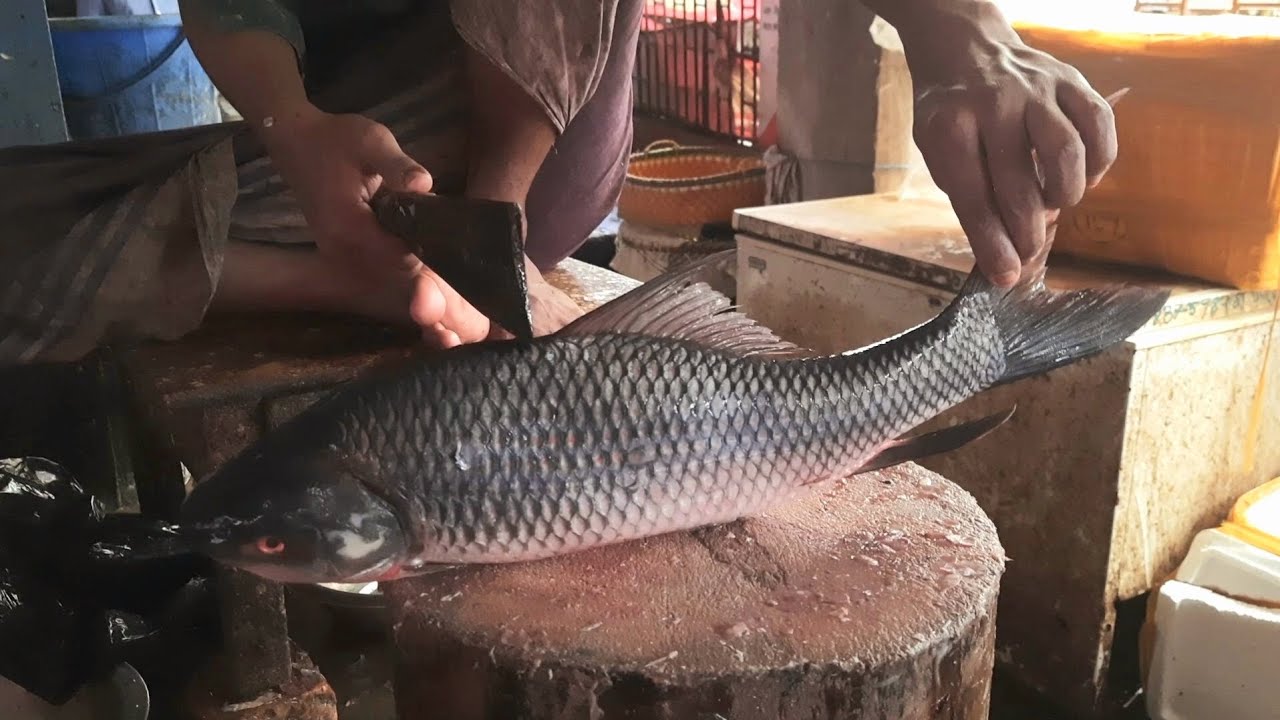Big Rohu Fish Skinning & Chopping By Expert Fish Cutter | Amazing Fish ...