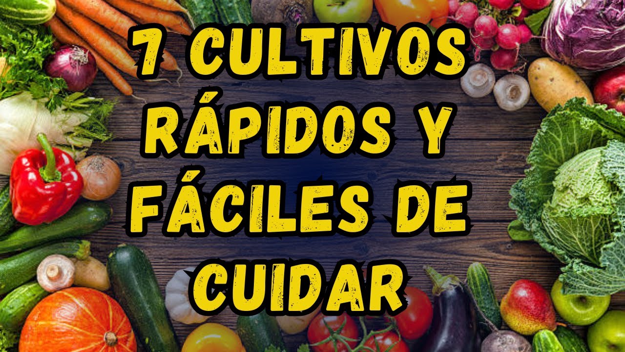 7 Hortalizas que son rápidas y fáciles de cuidar, GUIA COMPLETA - YouTube