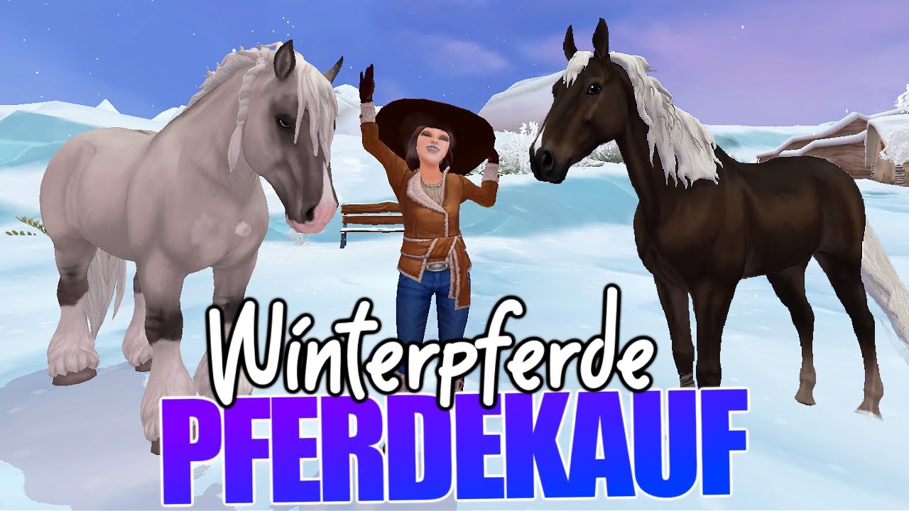 ich kaufe die WINTERPFERDE 2️⃣0️⃣2️⃣4️⃣ Earik & Hjortensia 🐴 Star ...