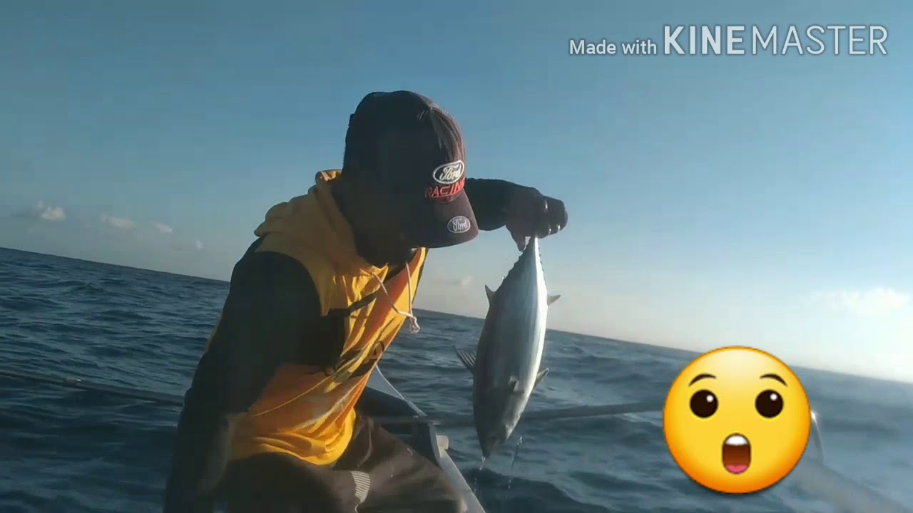 Skipjack Tuna Hunting at Sibuyan Sea - YouTube