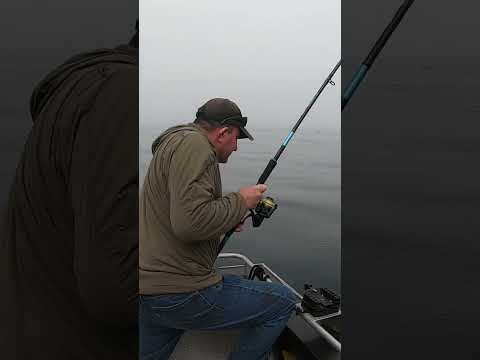 Halibut Fishing homer alaska for big Alaskan Halibut on a rental boat. #alaska #fishing #fyp #fish