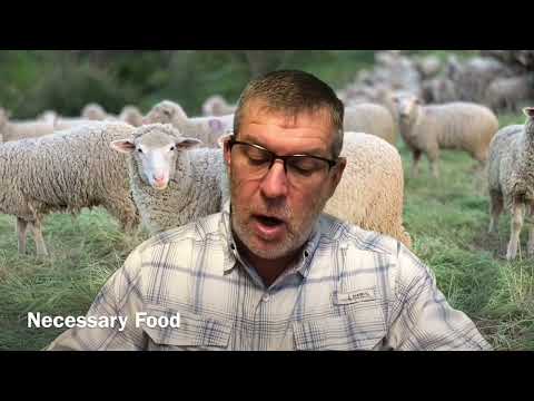 Why Were Shepherds Detestable In Egypt