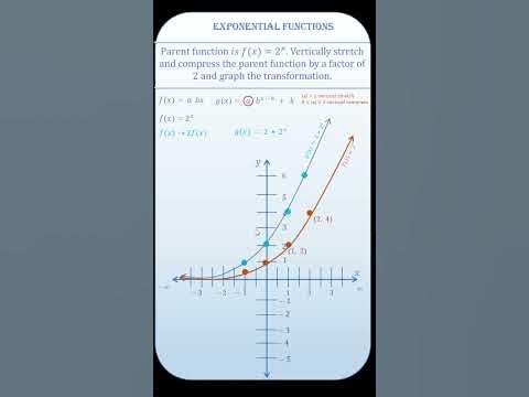 Graphing Exponential function with Vertical Stretch and compression # ...
