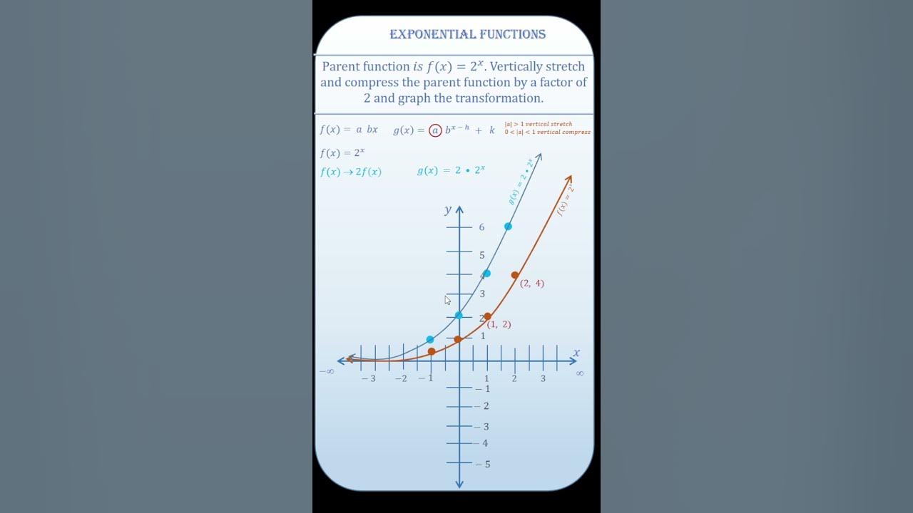 Graphing Exponential function with Vertical Stretch and compression # ...