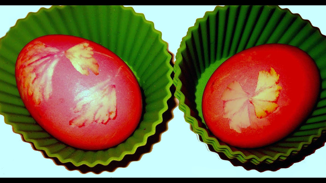 Oua rosii, vopsite cu frunze - YouTube