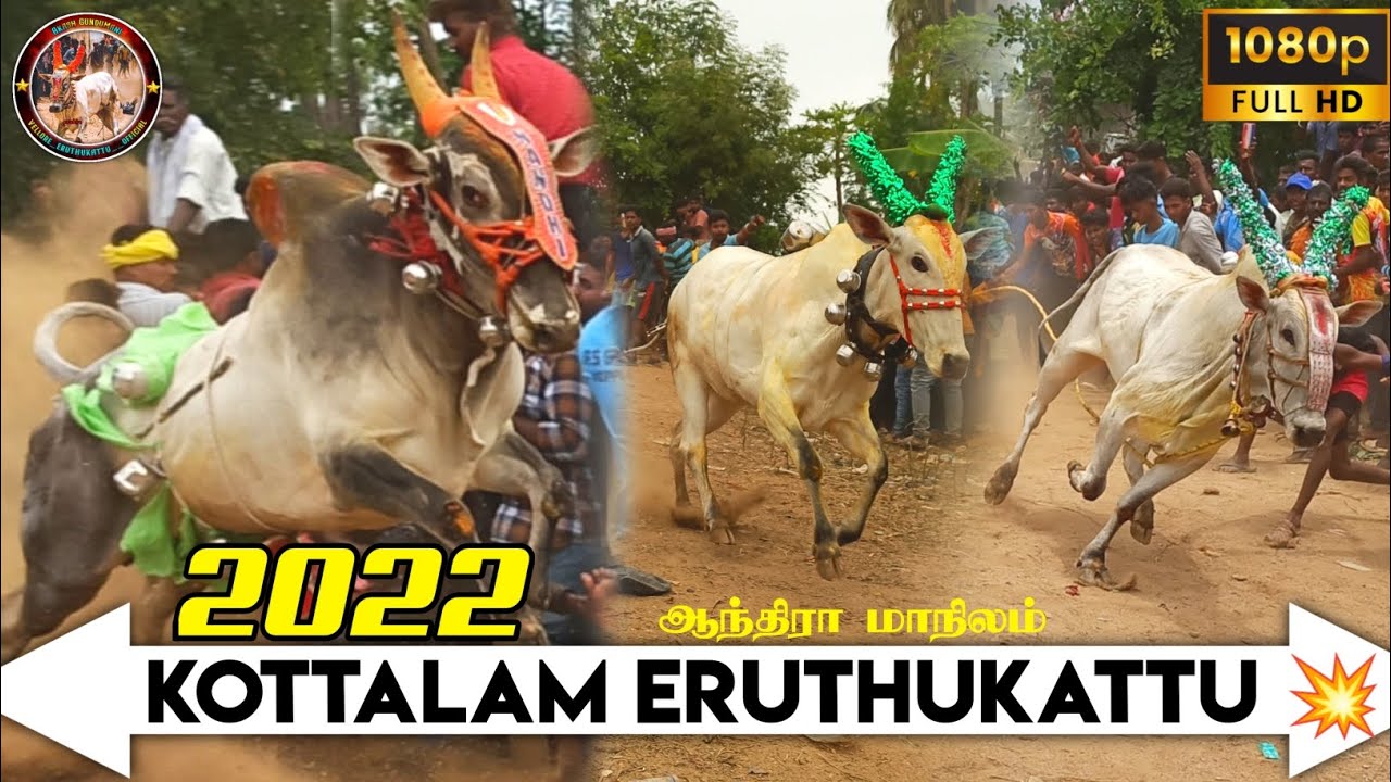 🧿 KOTTALAM ERUTHUKATTU 💥 2022 COLLECTION PART-1..🥵#eruthukattu # ...