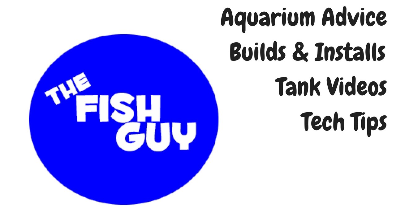 Welcome to "The Fish Guy" Channel! - YouTube